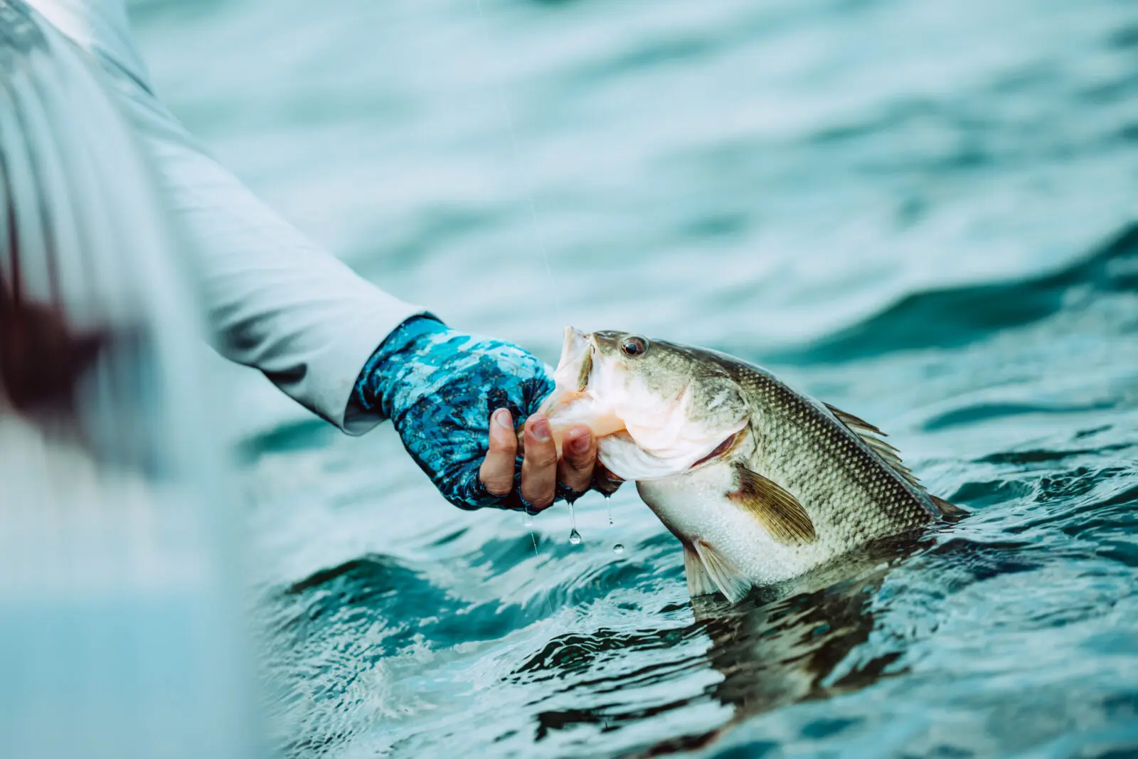 Whitewater Sun Protection Fishing Gloves | Whitewater Fishing