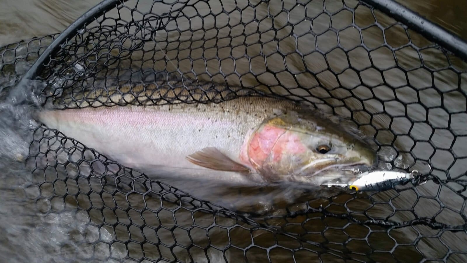 Clock Strikes Steel! | Whitewater Fishing